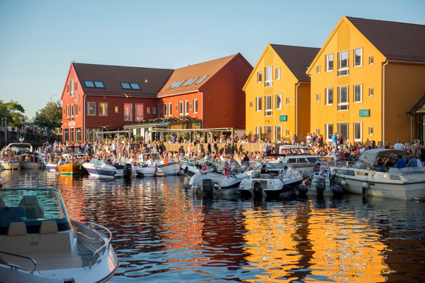 Skarre-r, retrofleksar og austlandisering aust på Agder – Bidrag til ...